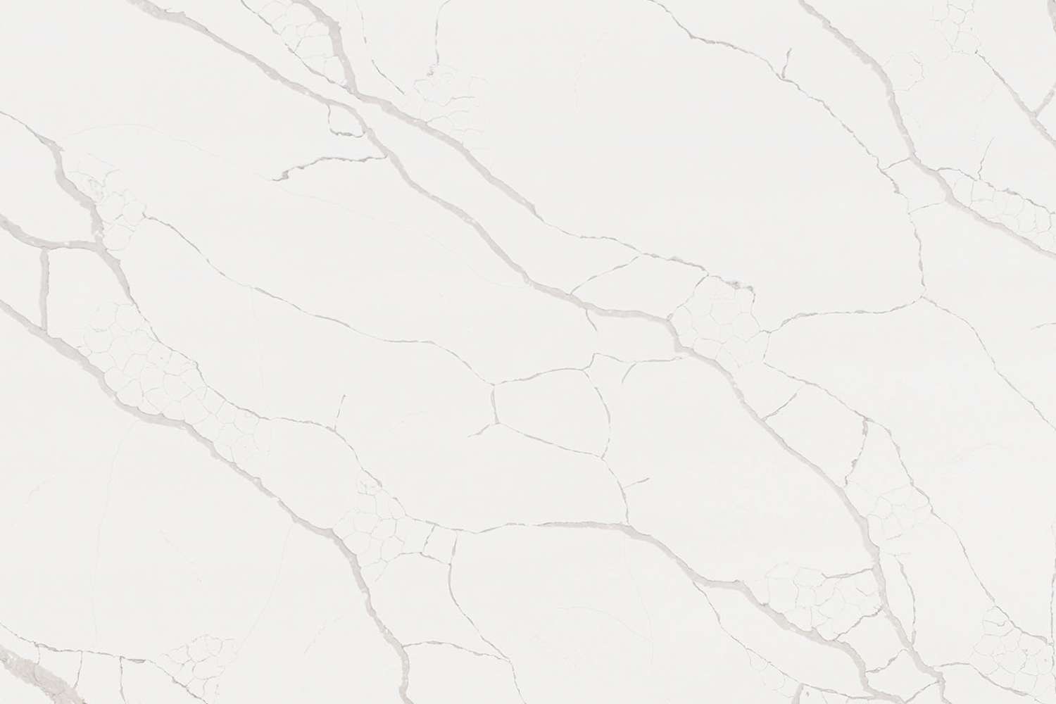 Calacatta Forest White Quartz Slab - Direct Finishes